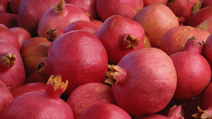 Narın faydaları | Bağışıklık